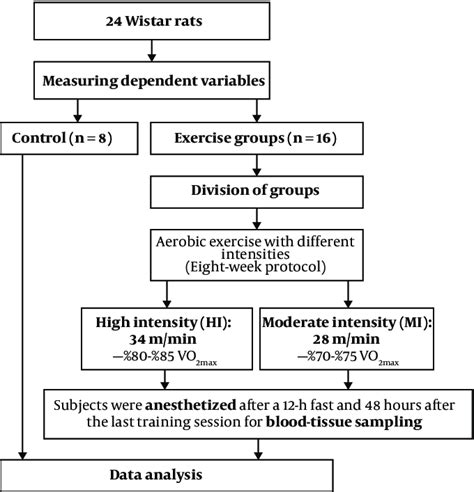 Total Executed Protocol Download Scientific Diagram