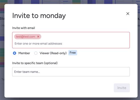I Cannot See The Error Message When Trying To Add A Member Platform Discussions Monday
