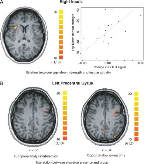Relation Between Brain Activity And Attentional Control A Download Scientific Diagram