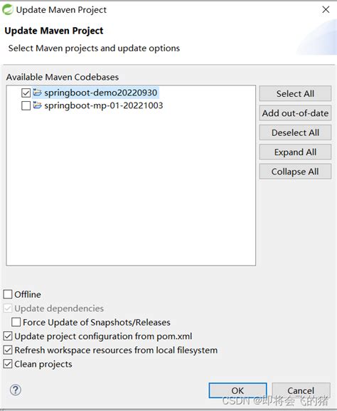Mybatis项目集成时出现错误caused By Javalangclassnotfoundexception Orgapache