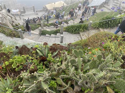 영국 콘월 여행 미낙극장 Minack Theatre 티켓예매 및 가격