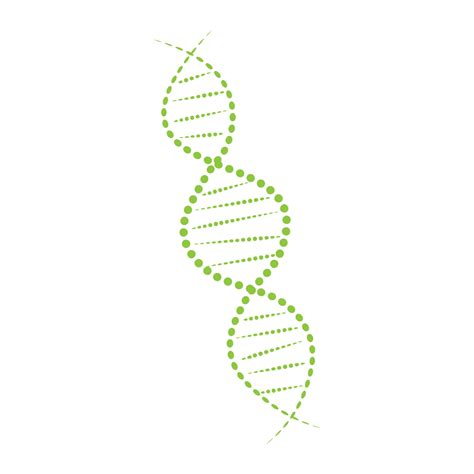 Free Dna Structure Clipart Template To Edit Online