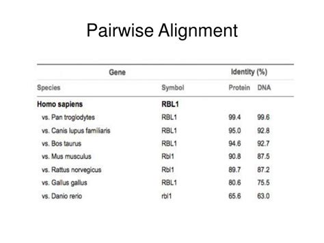 Ppt Retinoblastoma And The Rb1 Gene Powerpoint Presentation Free