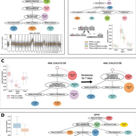 New Insights In Clonal Evolution Of Myeloid Neoplasms A Tree Inferred