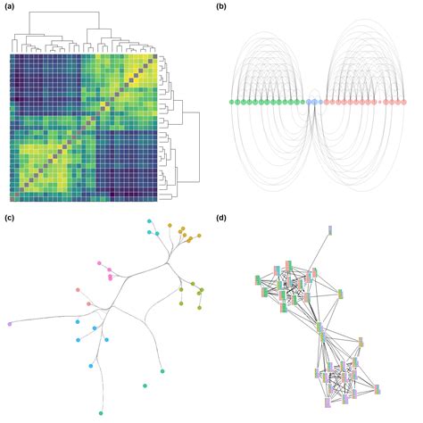 Section Network Visualization Online Companion To Network Science In Archaeology