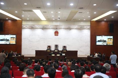 不满处罚决定杭州一市民告了市政府副市长出庭应诉 徐某某 行政诉讼 机关