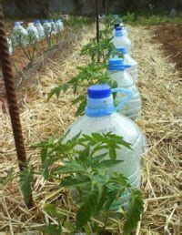Diy Irrigador Solar Simples Pr Tico E Eficiente Lar Doce Lar