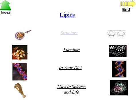 Lipids Structure Function In Your Diet Uses In