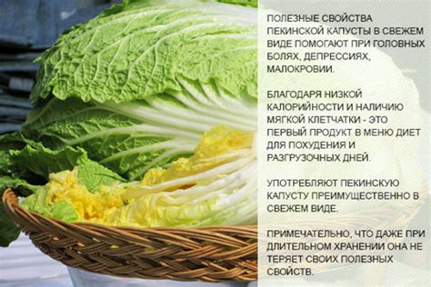 Капуста пекинская - калорийность, полезные свойства, польза и вред ...