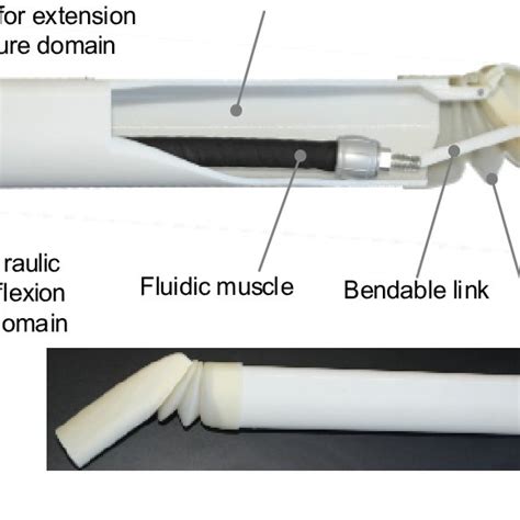 Pdf A Novel Bio Inspired Fluidic Actuator For Robotic Applications