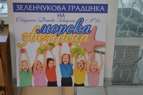 Нашата зеленчукова градинка