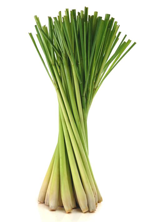 Lemongrass Angkor Food