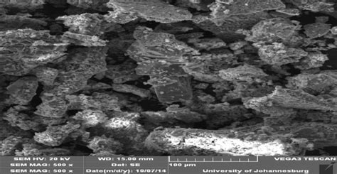 Sem Micrograph Showing The Surface Morphology Of The Isolated Download Scientific Diagram
