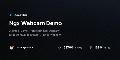 Ngx Webcam Demo Stackblitz