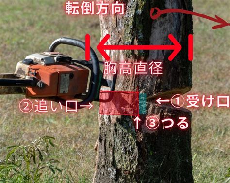 チェーンソー資格必要正式名称は伐木等特別教育の内容と安全に扱うために必要な安全教育とはなんとなく生活に役立つ情報