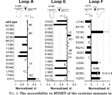 Figure 1 From Mapping The ρ1 Gabac Receptor Agonist Binding Pocket