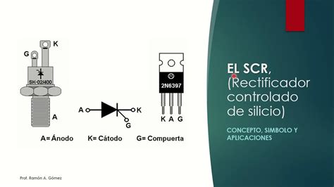 El Scr Estudio Del Componente Youtube