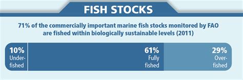 The State Of World Fisheries And Aquaculture Francisco Blaha