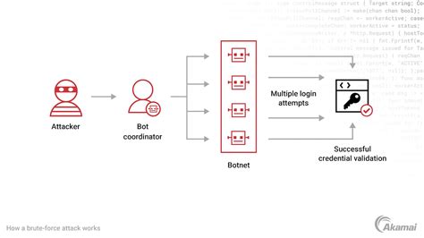 What Is A Botnet Akamai
