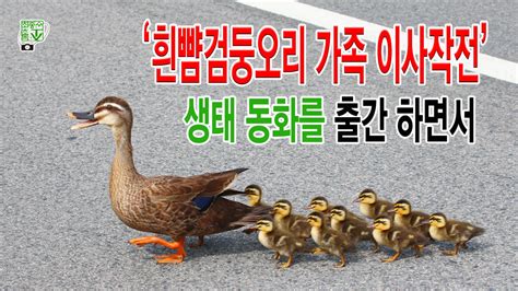 도심에서 둥지를 틀고 새끼를 데리고 자연으로 돌아가는 7년간의 주남저수지를 사랑하는 사람들의 모임