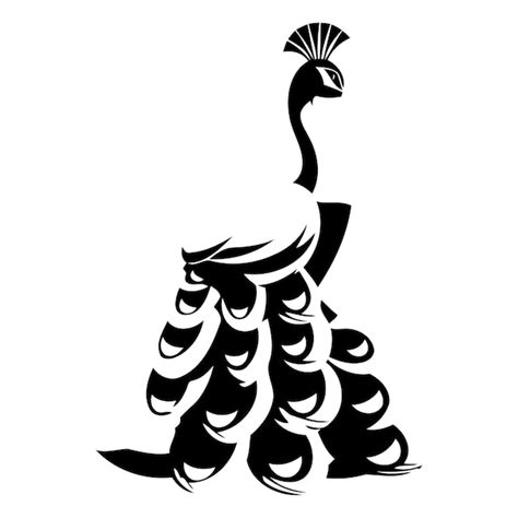 Premium Vector Peacock Vector Illustration Isolated Peacock On White