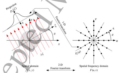 Graphical Representation Of Fourier Slice Theorem In Tomography
