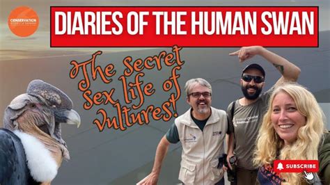 Poul Brix On Linkedin The Secret Sex Life Of Vultures