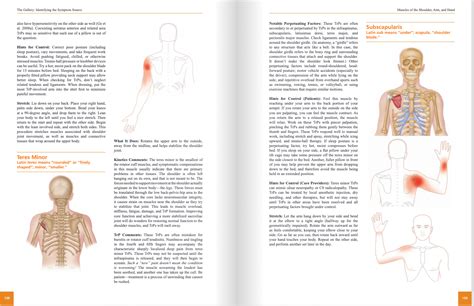 Healing Through Trigger Point Therapy Niel Asher Education
