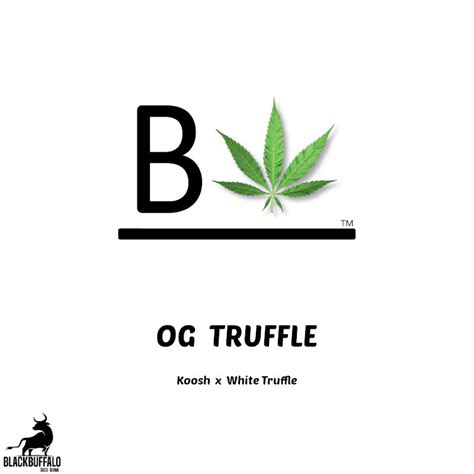 OG Truffle Beleaf Feminized Seeds BlackBuffalo