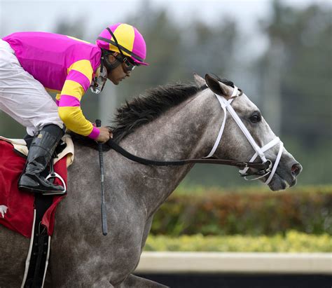 2023 Kentucky Derby Pedigree Profile Tapit Trice