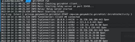 Linux通过usb抓取android手机报文（使用gnirehtet将电脑网络分享给手机） Glaumars Blog