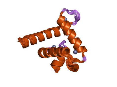 Creb Binding Protein