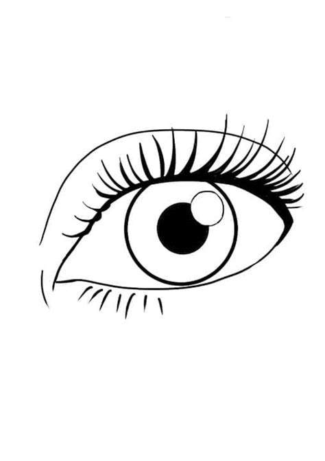 Ojos Para Colorear Imprimir E Dibujar Coloringonlycom Images And Photos Finder