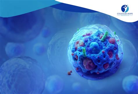 Decoding Autophagy Unveiling Its Role In Regenerative Medicine