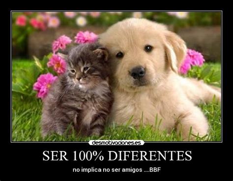 Imágenes Y Carteles De Jaziel Desmotivaciones