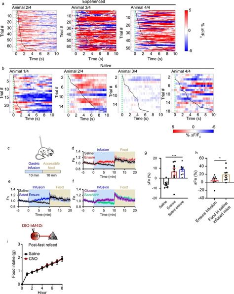 Dmhlepr Neuron Photometry Responses Are Greater With Pellet Drops Than