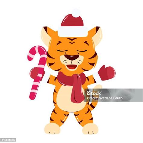 산타클로스 새해 모자 장갑 스카프를 두른 새끼 호랑이가 롤리팝을 들고 손으로 그림을 그립니다 12월 31일에 대한 스톡 벡터