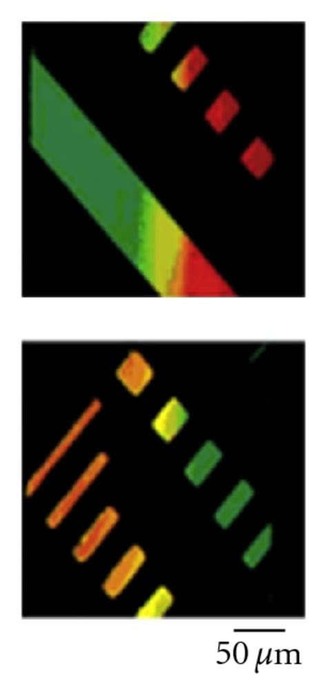 A Generation Of Complex Gradients In Solution By Combining Two