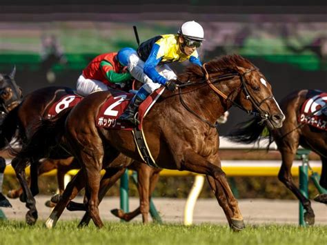 【今日の注目ポイント】中山で日経賞と阪神で毎日杯の2重賞 競馬ニュース Netkeiba
