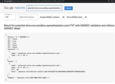 Unable To Query Dns Error Issue Open Attestation Oa Verify