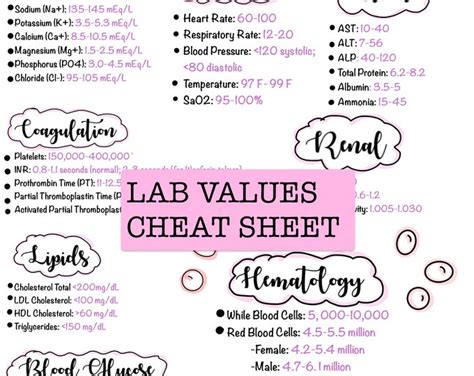 Lab Values Cheat Sheet Nursing Notes NCLEX Review Mark Etsy