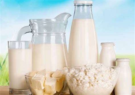 People Consuming Full Fat Dairy At Lower Risk Of Obesity And Diabetes