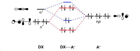 Simplified Molecular Orbital Perspective Of Halogen Halide Bonds Download Scientific Diagram