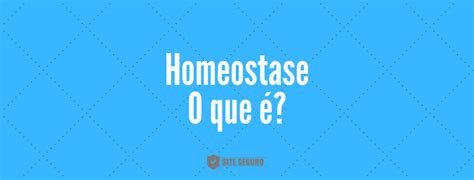 Homeostase O Que é Quais Os Tipos Passar No Enem Mais Educativo