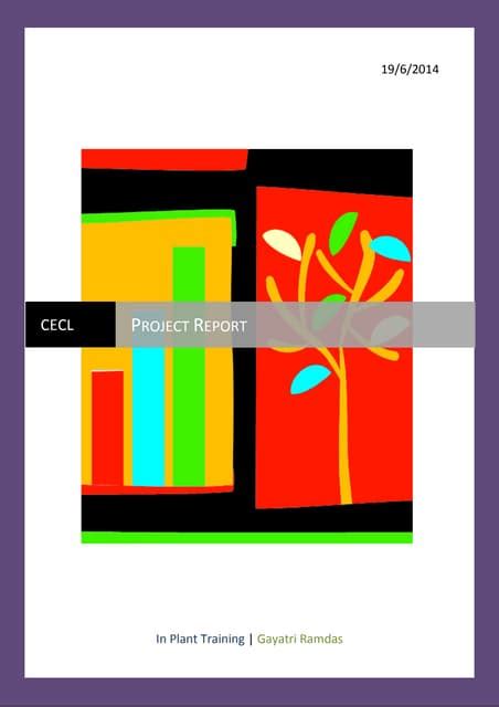 Project Report Cecl Pdf
