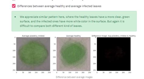 Github Ssreelakshmi88mildew Detection Cherry Leavesmilestonepp5