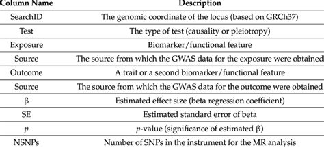 Description Of The Columns Provided In The Report File Download