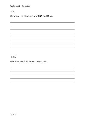 A Level Biology Revision Protein Synthesis Teaching Resources