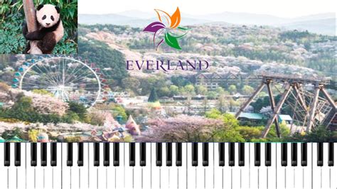 꿈과 희망이 담긴 에버랜드의 테마곡 을 쳐보았다 Youtube
