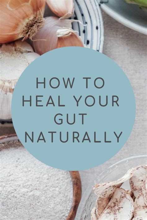 3 Microbiome Myths Get To Know Seed Synbiotic